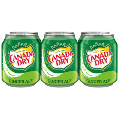 Canada Dry Ginger Ale Mini - Online Groceries | Albertsons