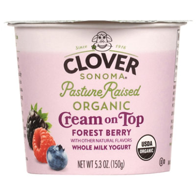 Clover Organic Farms Yogurt Cream On Top Forest Berry - 6 Oz - Pavilions