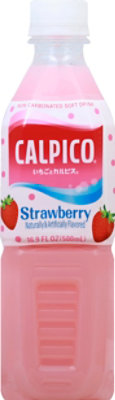 Calpico Strawberry Water Bottle - 16.9 Fl. Oz. - Pavilions