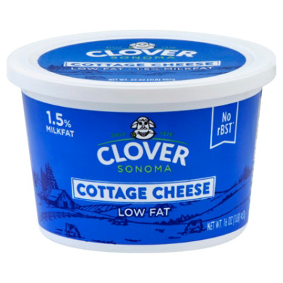 Clover Cottage Cheese Lf - 16 Oz - safeway
