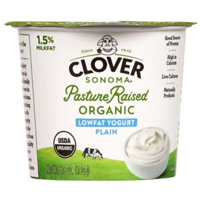 Clover Org Yogurt Lf Plain - 6 Oz - safeway