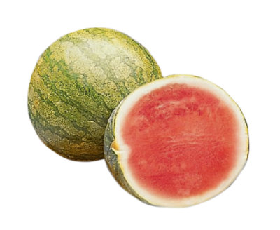 Thai Watermelon - Pavilions