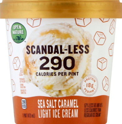 Open Nature Scandal-Less Sea Salt Caramel Light Ice Cream - 1 Pint - Carrs