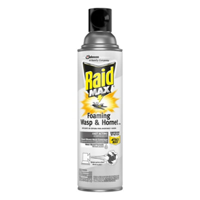 Raid Max Foaming Wasp and Hornet Killer 13 oz (1 ct) - safeway