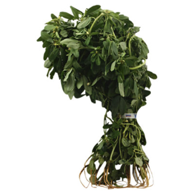 Menthy Leaf - 24 Count - safeway