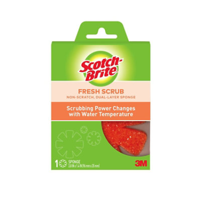 Scotch-Brite Fresh Scrub Non Scratch Dual Layer Sponge - Each - albertsons