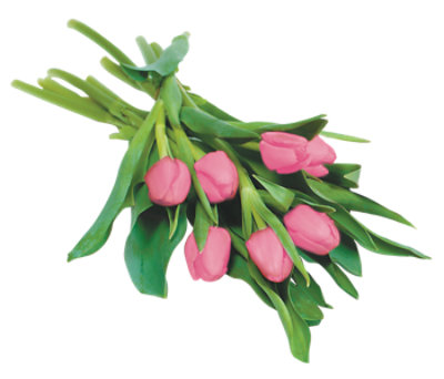 Tulips - 7 Stem (colors may vary) - vons