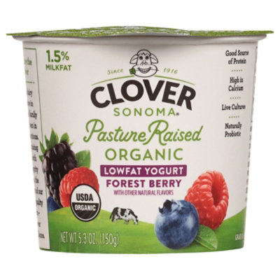 Clover Organic Natural Forest Berry Low Fat Yogurt - 6 Oz. - safeway