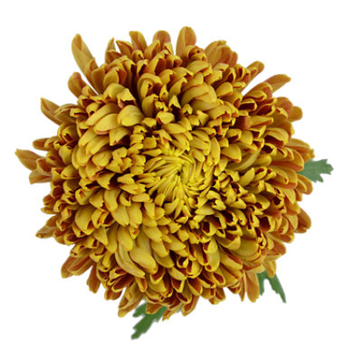 Mum Football Yellow - Each - safeway