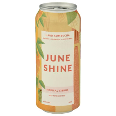 June Shine Hard Kombucha Hopical Citrus - 16 Fl. Oz. - Albertsons