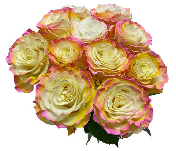 Mango Sorbet Roses - EA - safeway