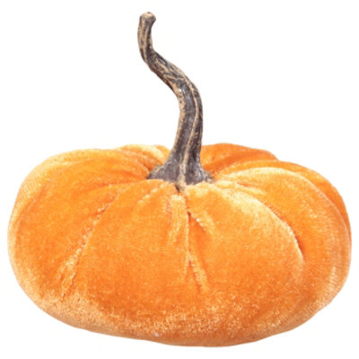 Overjoyed Boutique Velvet Pumpkin Xs - EA - safeway