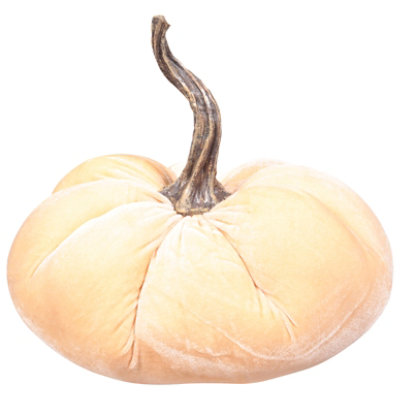 Overjoyed Boutique Velvet Pumpkin Lg - EA - safeway