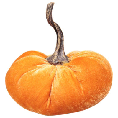 Overjoyed Boutique Velvet Pumpkin Sm - EA - safeway