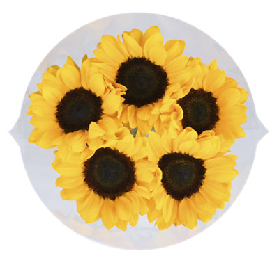 Fancy Sunflowers - Each - acmemarkets