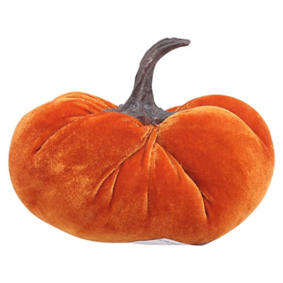 Overjoyed Boutique Autumn Velvet Pumpkin Lg - EA - safeway