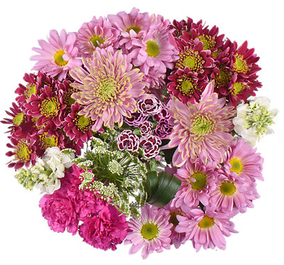 Debi Lilly Mothers Melody - EA - albertsons