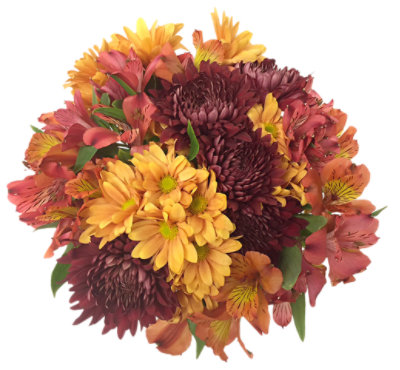 Alstro Pom Big Bunch - 18 ST - safeway