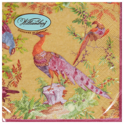 Caspari Chelsea Birds Paper Cocktail Napkins - 20 Count - kingsfoodmarkets