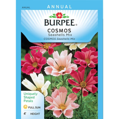 Cosmos Seashells Mix - EA - acmemarkets