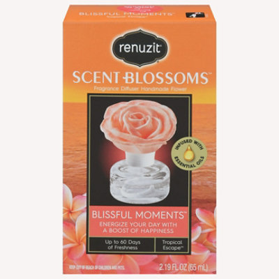 Renuzit Flower Difusser Blissful Moments - 2.19 FZ - safeway