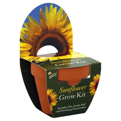 Bzzy Sunflower Grow Kit - EA - safeway