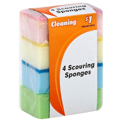 Scour Sponges - EA - vons