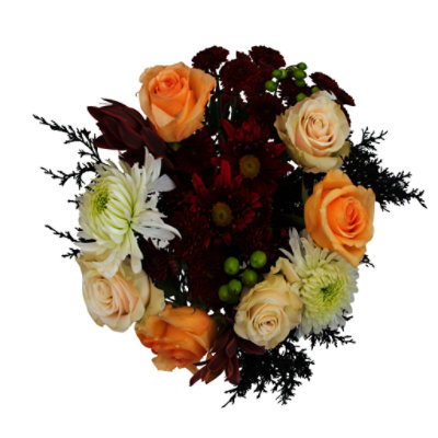 Debi Lilly Autumn Bliss - EA - Albertsons