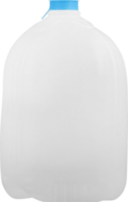 Magnetic Springs Distilled Water - 1 GA - Vons