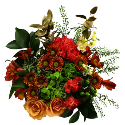 Debi Lilly Autumn Bliss Grand B - EA - safeway