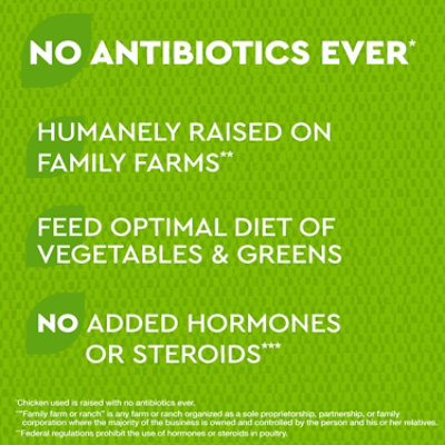 Just Bare Fully Cooked Lightly Breaded Chicken Breast Original Fillets ...