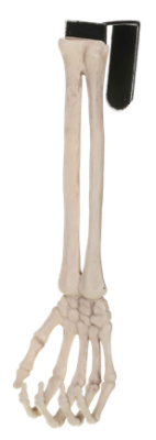 Sea Skeleton Hand Wreath Hanger - Each - safeway