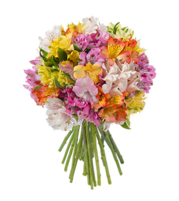 Big Bold And Beautiful Alstro - Each - acmemarkets