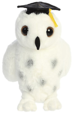 Graduation Buddies Owl - EA - safeway
