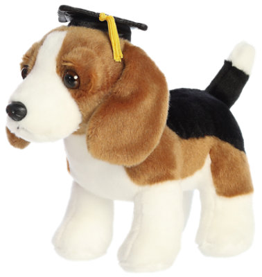Graduation Buddies Beagle - EA - vons
