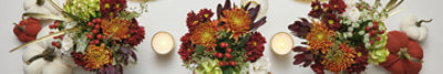 Shop for Flowers, Cards, Occasion at your local ACME Markets Online or ...