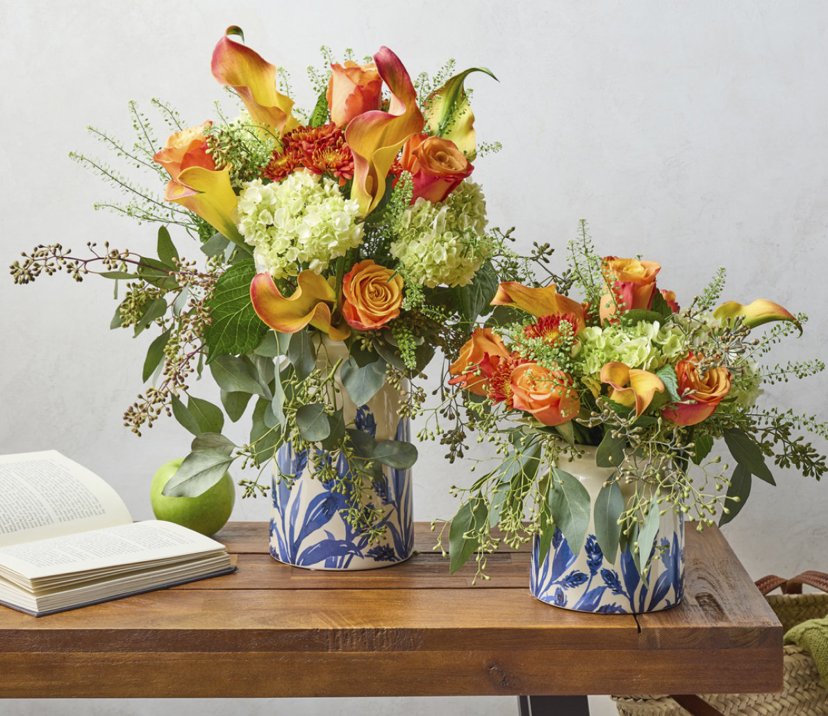 Debi Lilly Flowers Care | Best Flower Site