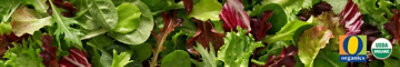 O Organics® Brand - USDA Certified Organic | Albertsons
